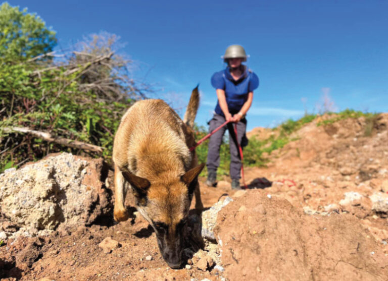 ADVANTAGES AND CHALLENGES OF DEPLOYING K9 TEAMS FOR THE DETECTION OF ...